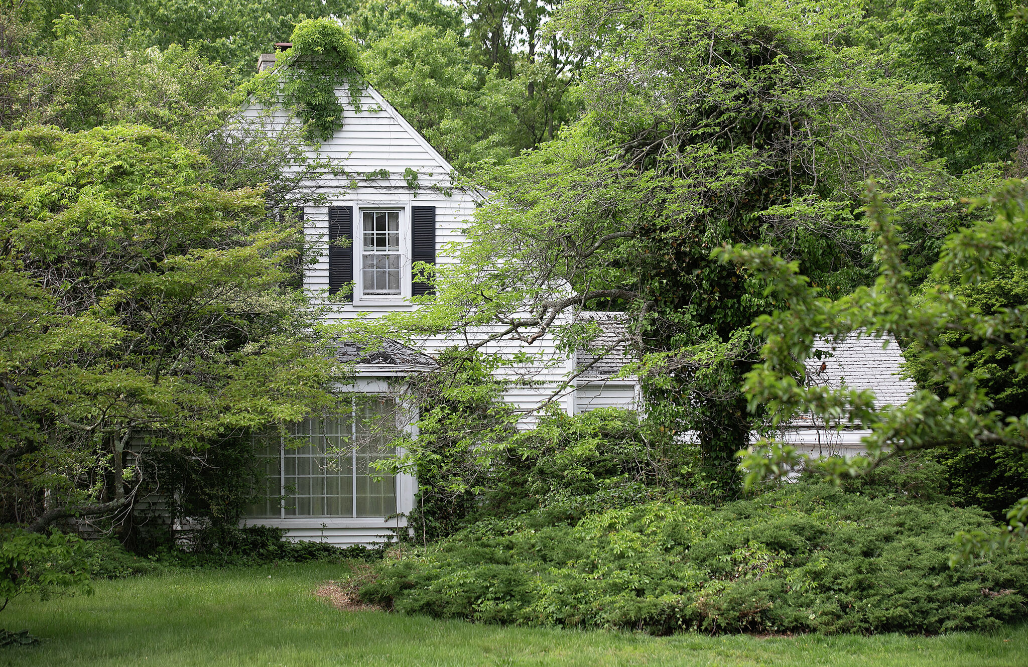Records: Foreclosure sale on Orange first selectman's home canceled