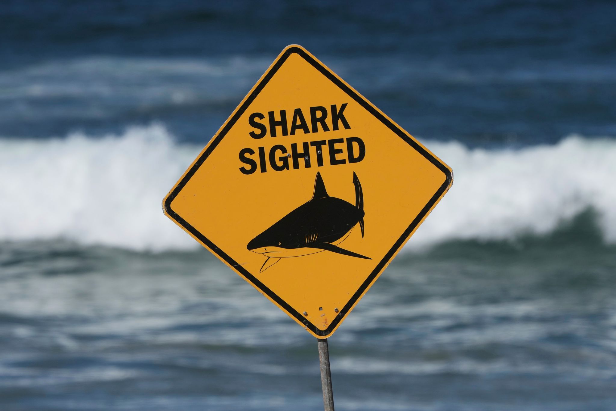 Spearfisher mauled on Great Barrier Reef in Australia's second fatal ...