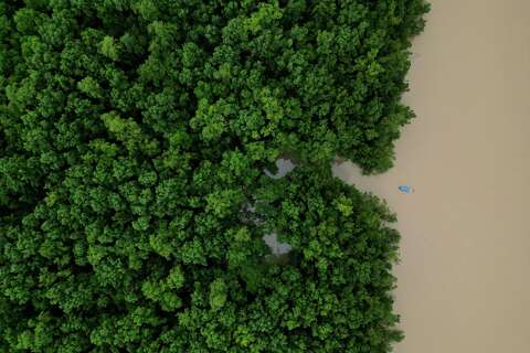 Brazilian government commits $617.5M to Amazon ecological investment