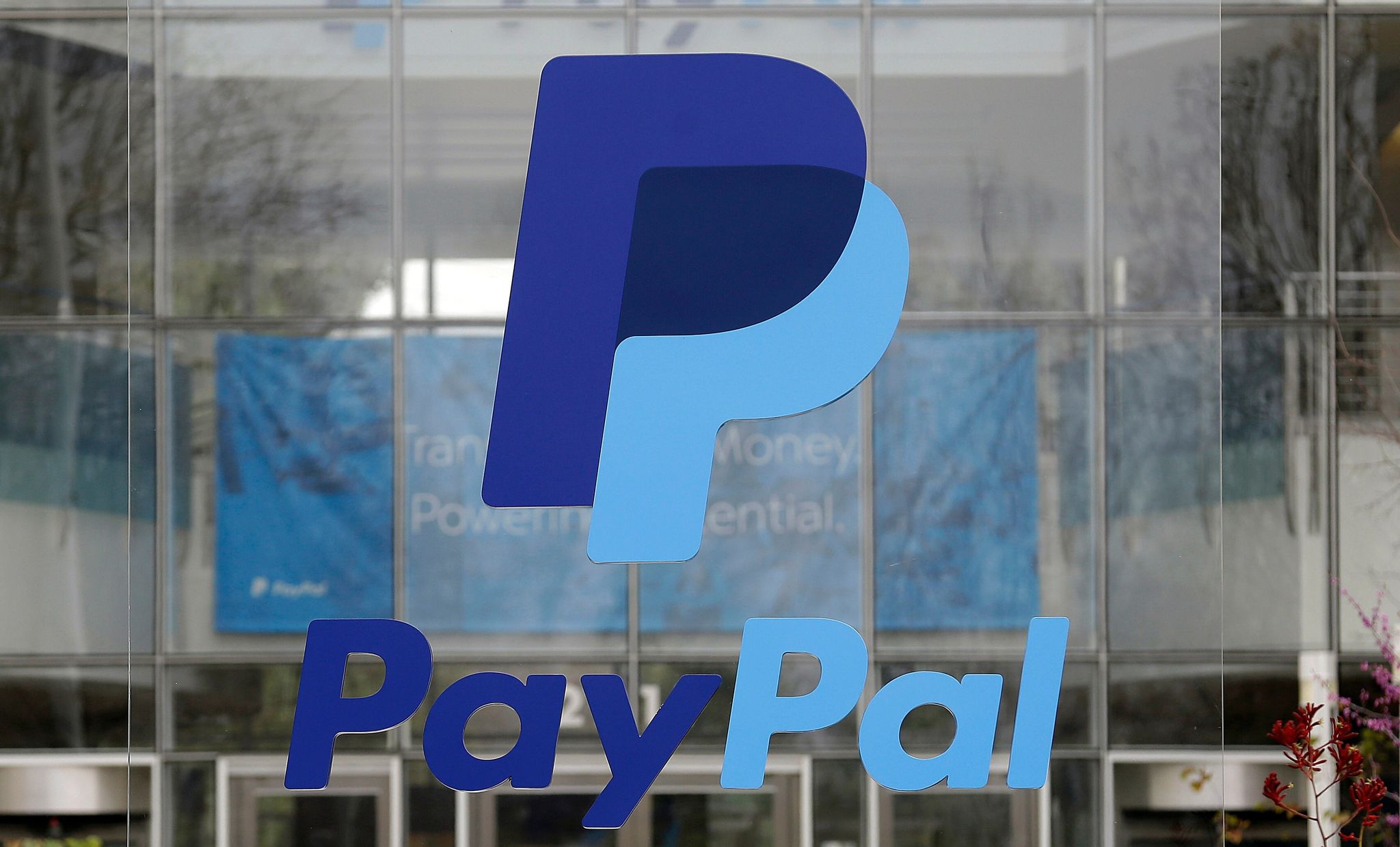 El pionero del pago online pierde terreno: El plan de PayPal para ...