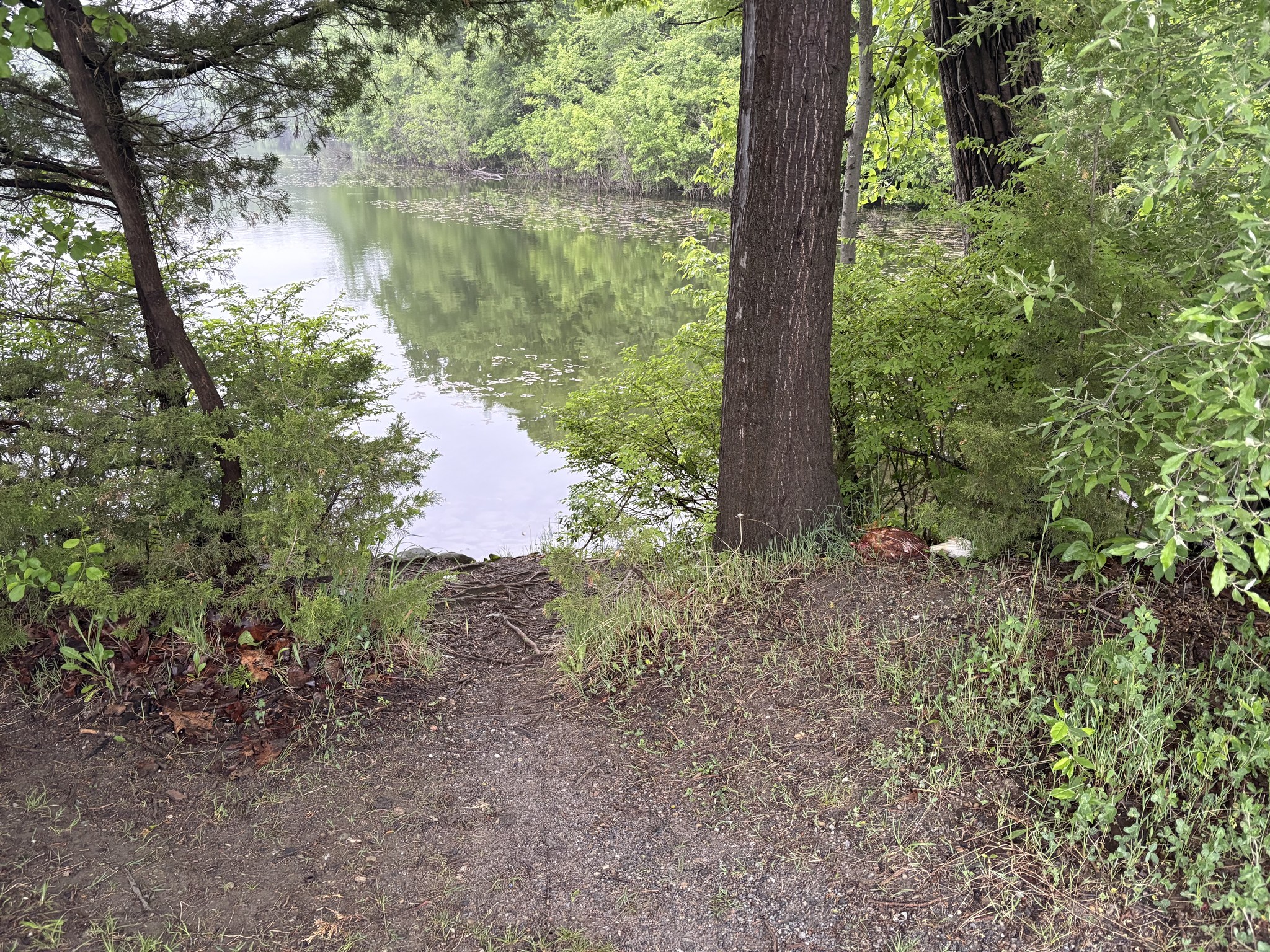 Putnam County officials seek person behind apparent bird sacrifice