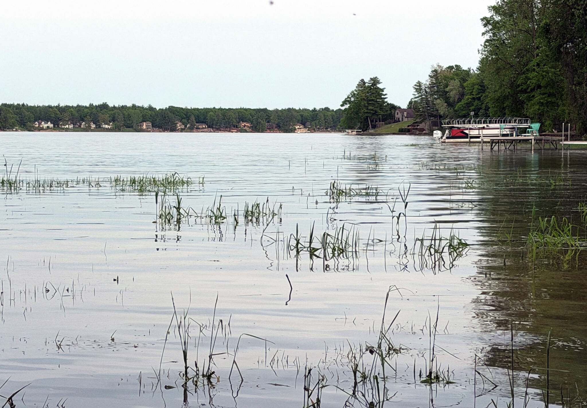 Sanford Lake weed and algae treatments set to begin this summer
