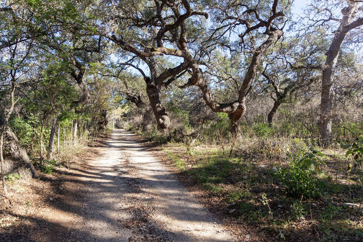 One of Texas' biggest state parks is about to open in the Hill Country