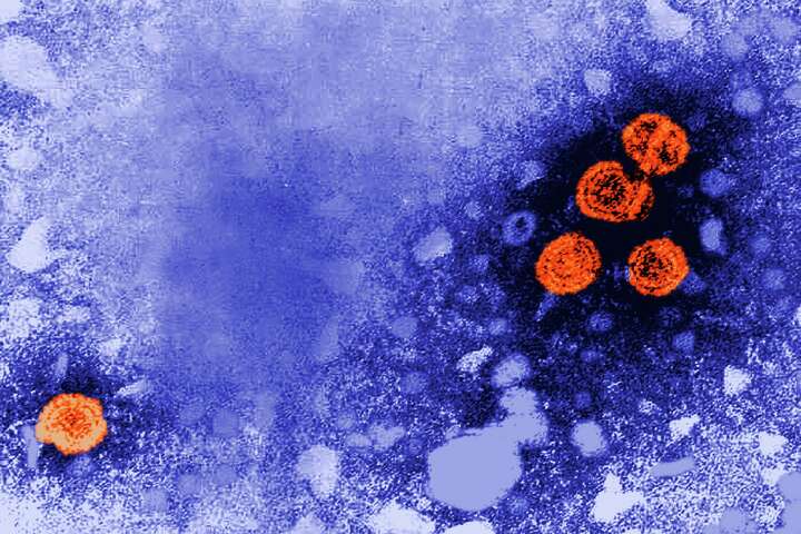 Experimental hepatitis B drug may offer 'functional cure' for some patients