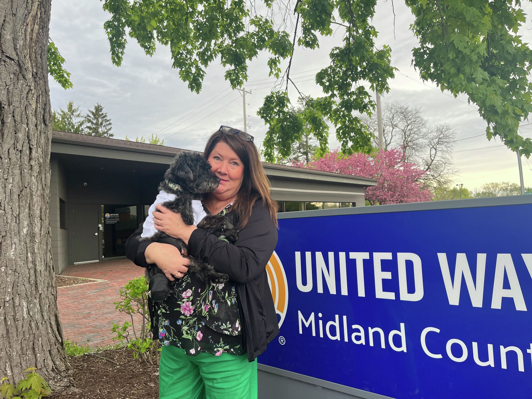 Oliver the office dog boosts morale at Midland United Way