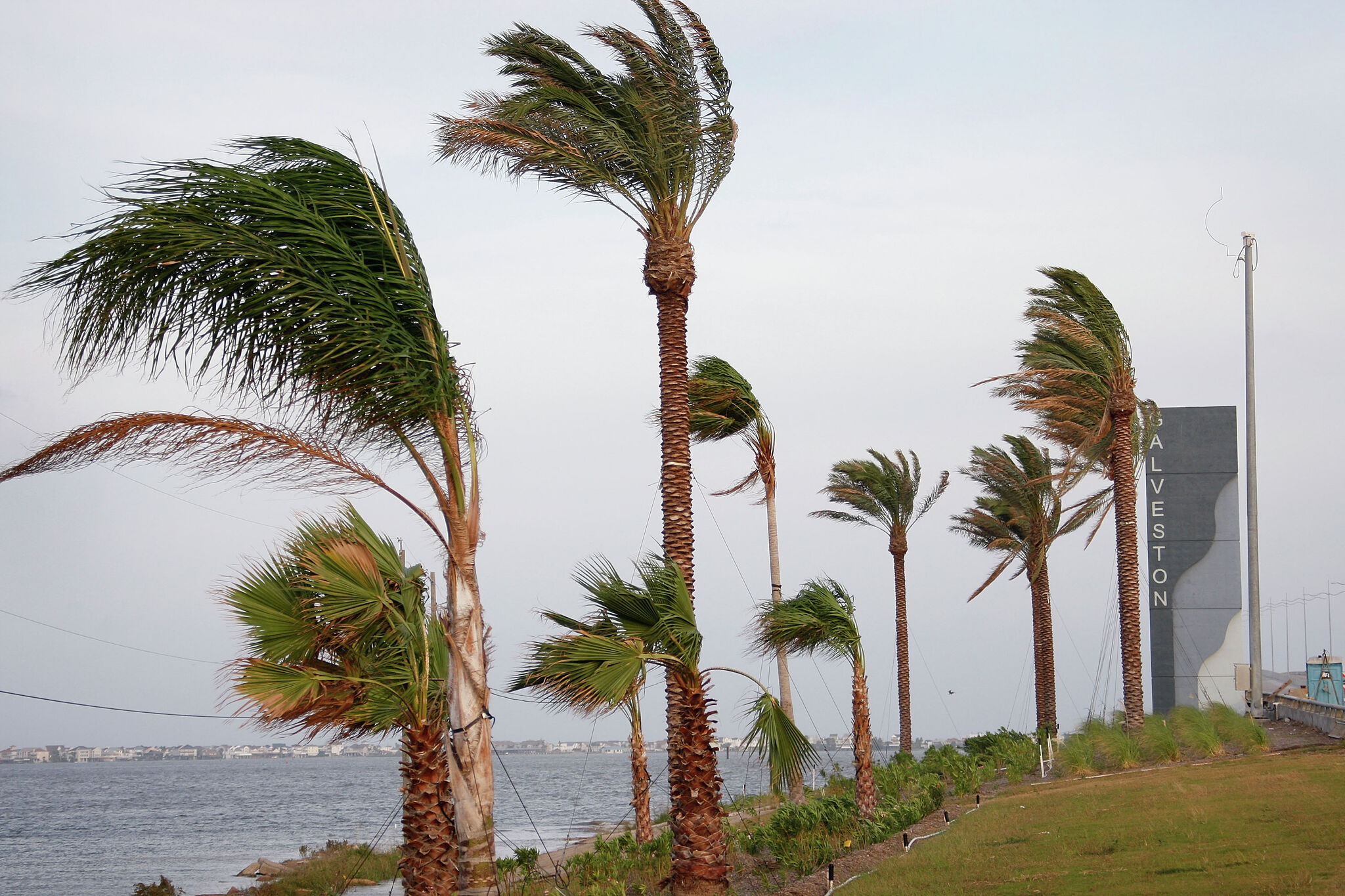 Possible Gulf disturbance emerges before 2026 hurricane season