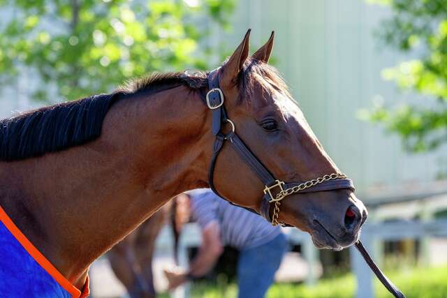 2026 Belmont Stakes post positions set, Renegade made favorite