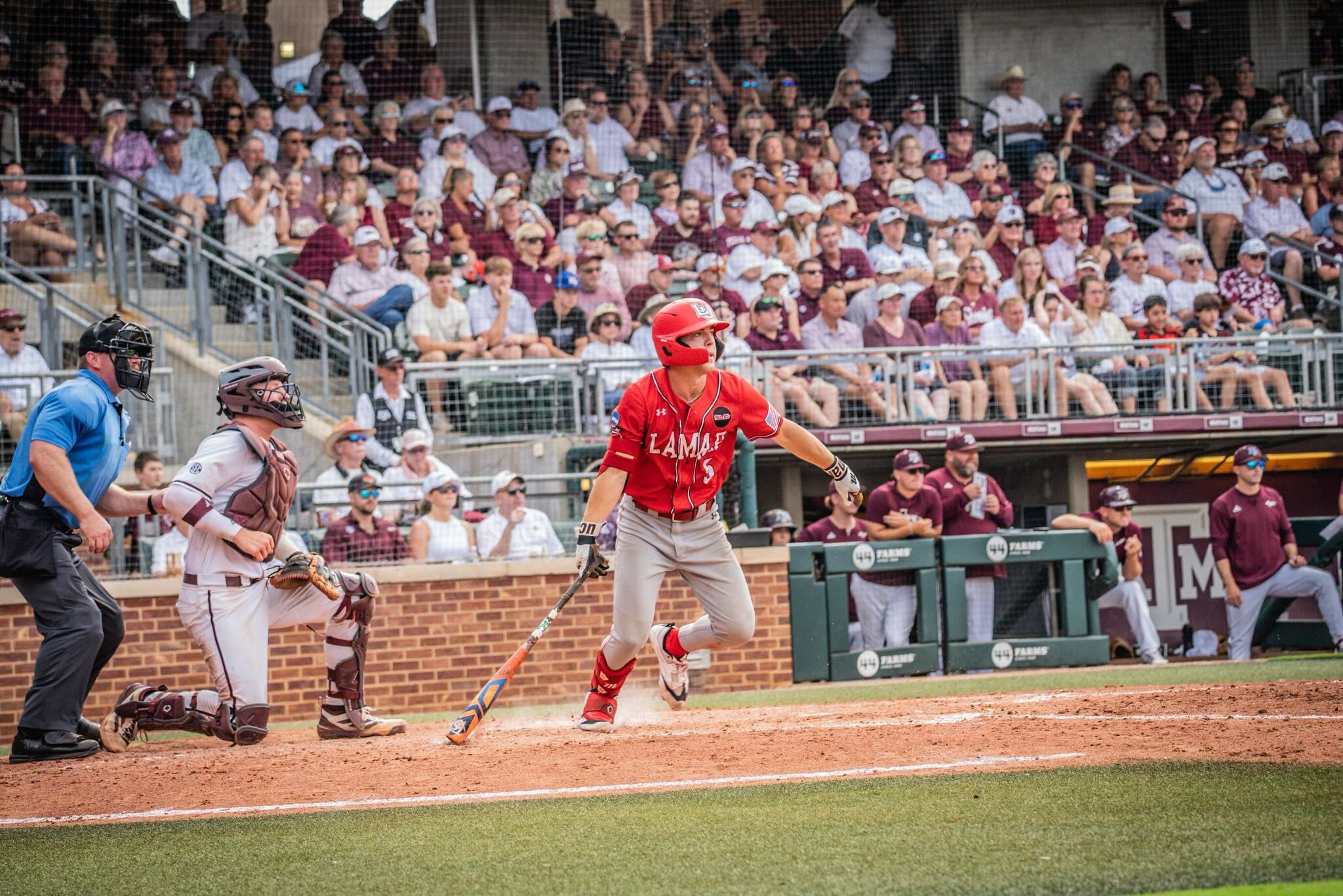 Lamar baseball coach Will Davis hired to lead Houston Cougars