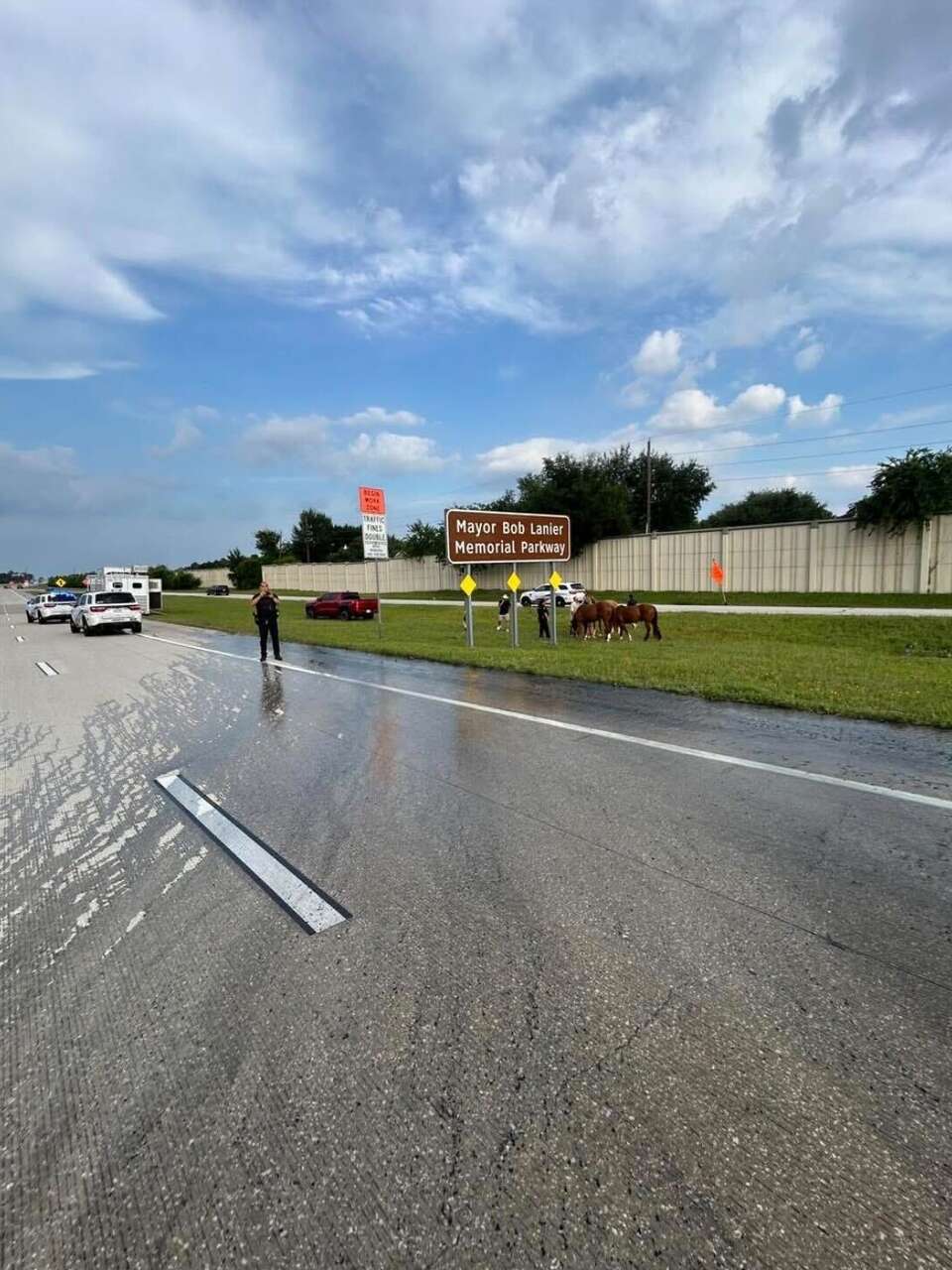 Horses caught in frightening fire on Texas highway