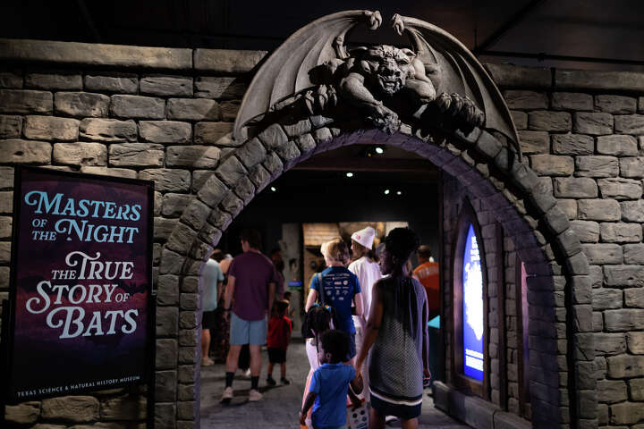 Austin bats are back. Here’s another place to see them