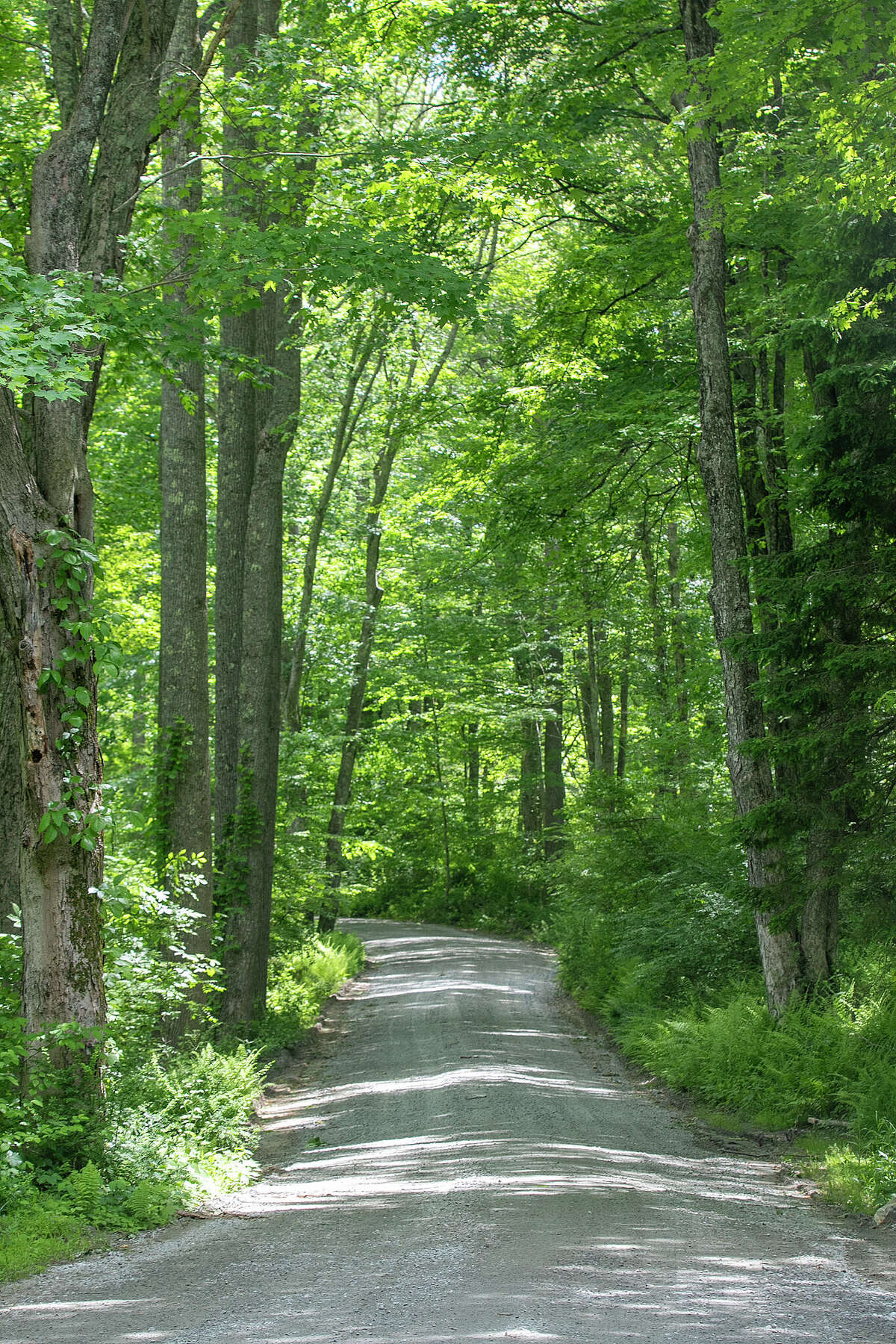 Timothy Mellon transfers Lyme land to anti-vaccine group