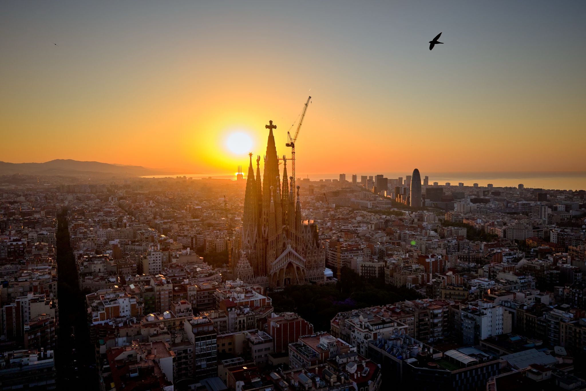 Photos of Barcelona’s Sagrada Familia as Gaudí basilica rises before ...