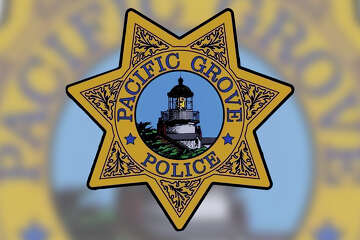 Pacific Grove: Gray Whale Carcass Prompts Closure Of Lovers Point Beach