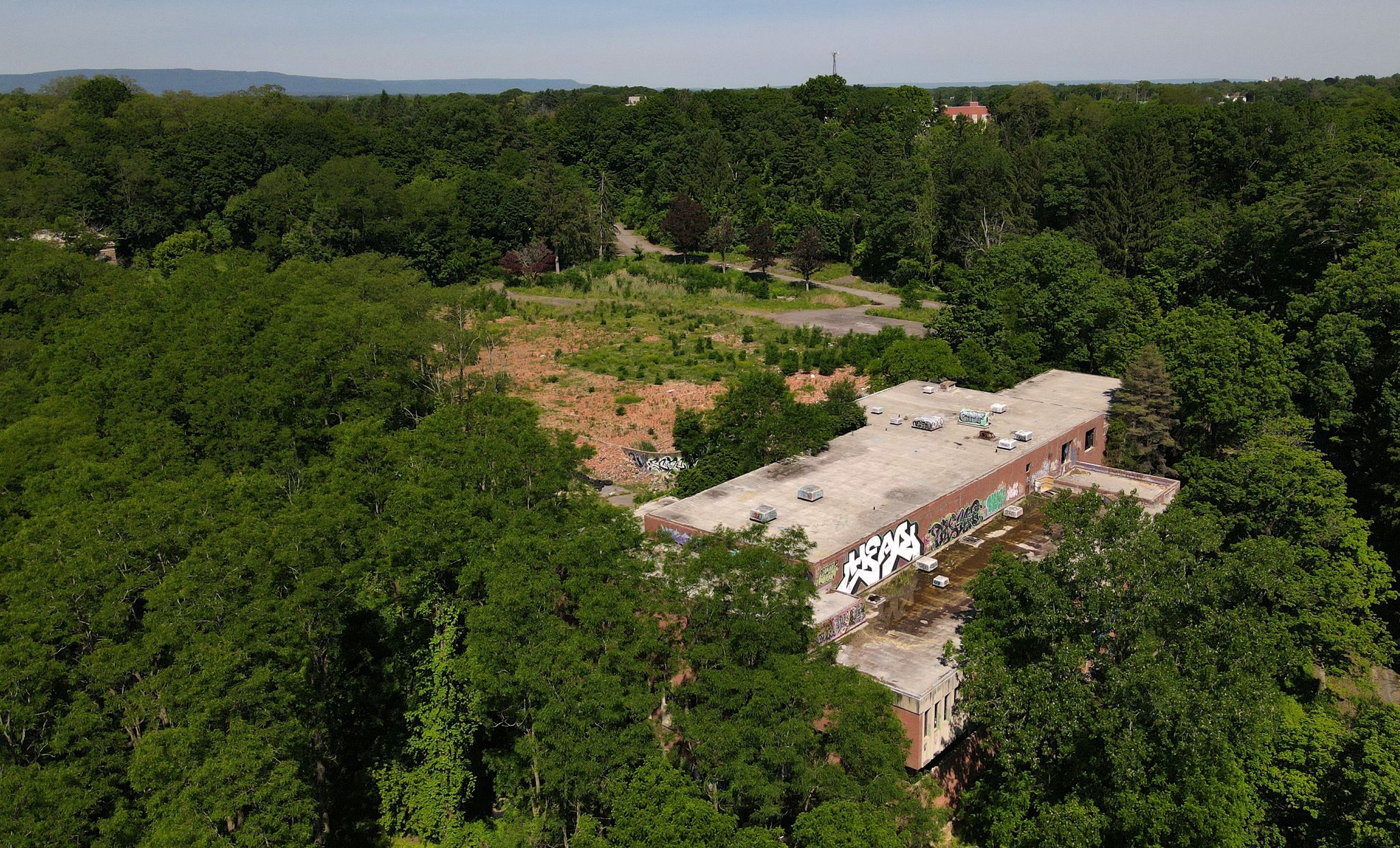 Commentary: At Buckingham Pond, small choices make big ripples