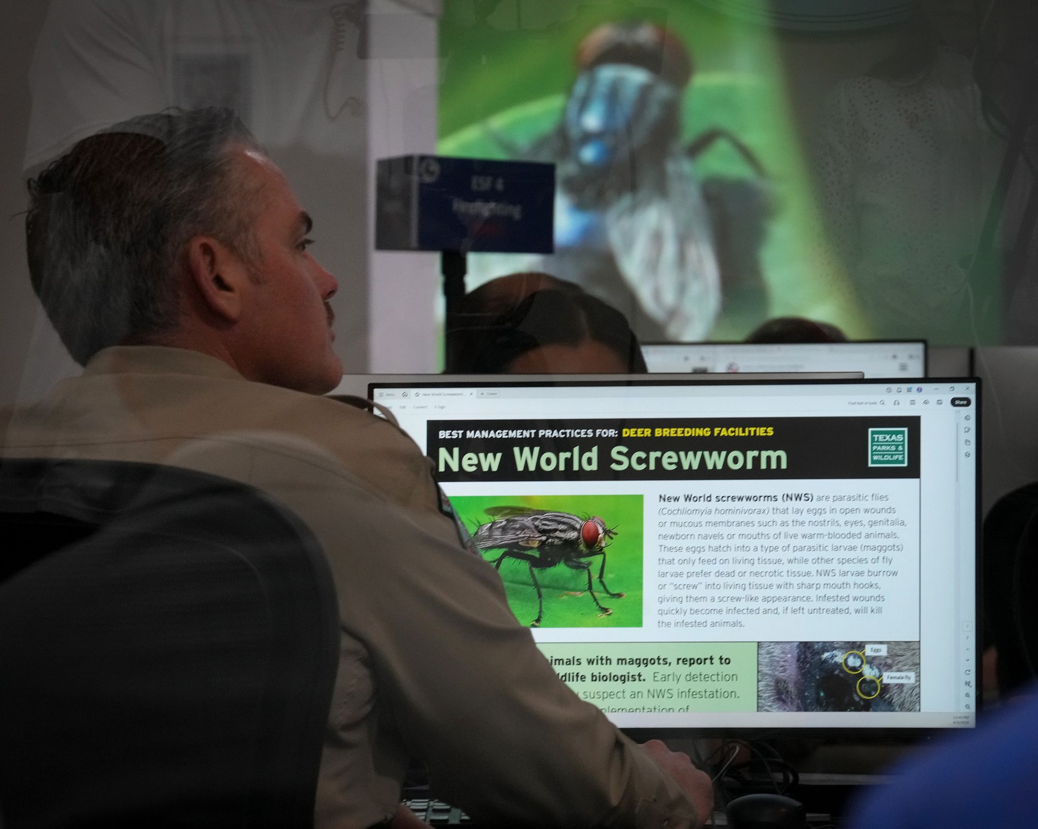 Colossal Biosciences proposes strategy to eradicate screwworm