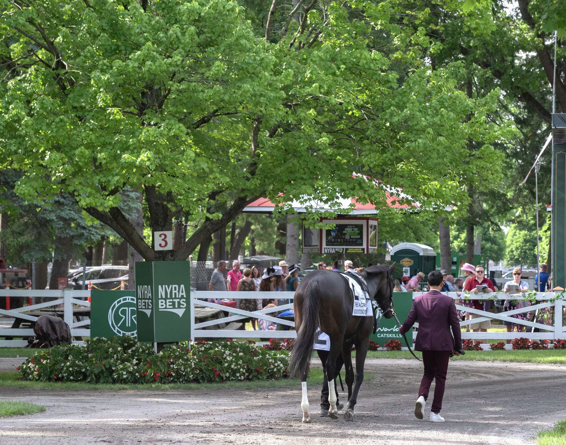 Counting Stars shines bright to win the Grade 1 Acorn at Saratoga