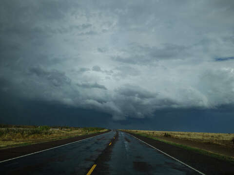 Forecasters see growing signs of another Gulf disturbance next week
