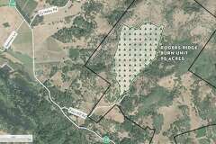 Calistoga: Fire Planned On 95 Acres At Live Oaks Ranch Preserve