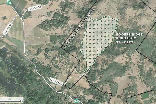 Calistoga: Fire Planned On 95 Acres At Live Oaks Ranch Preserve