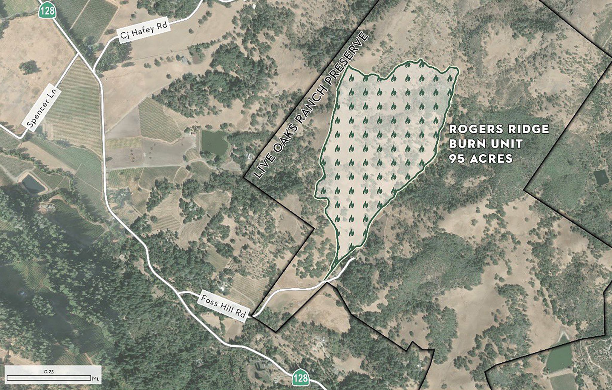 Calistoga: Fire Planned On 95 Acres At Live Oaks Ranch Preserve