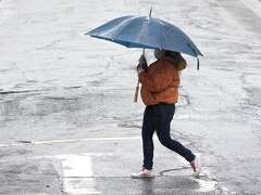 Storm with high winds downed trees in several CT towns Saturday