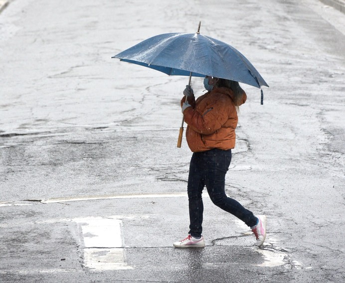 Storm with high winds downed trees in several CT towns Saturday
