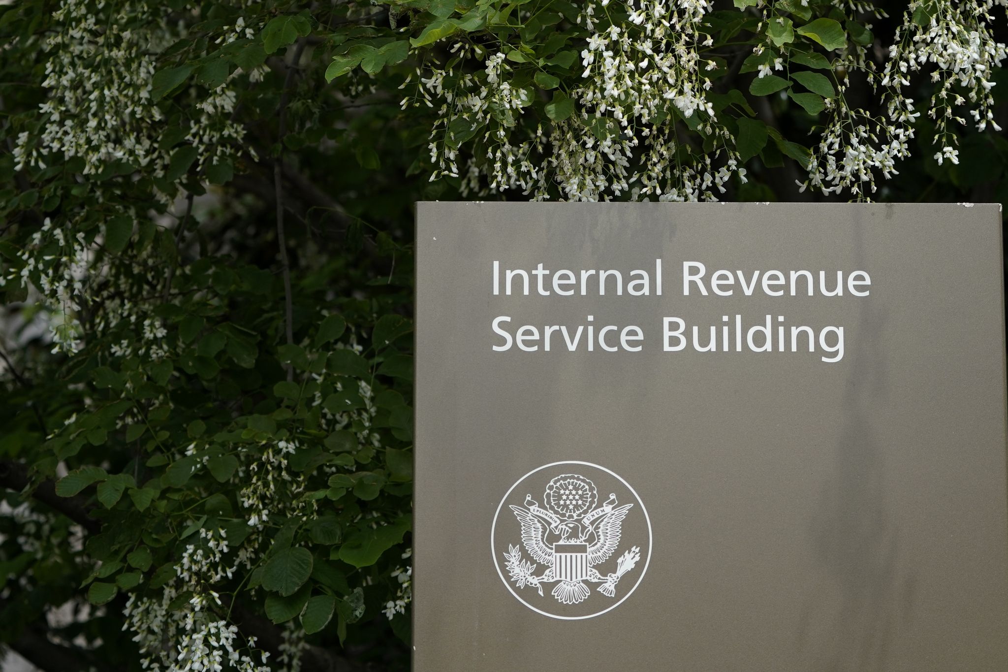 Five ways to avoid tax penalties in 2026
