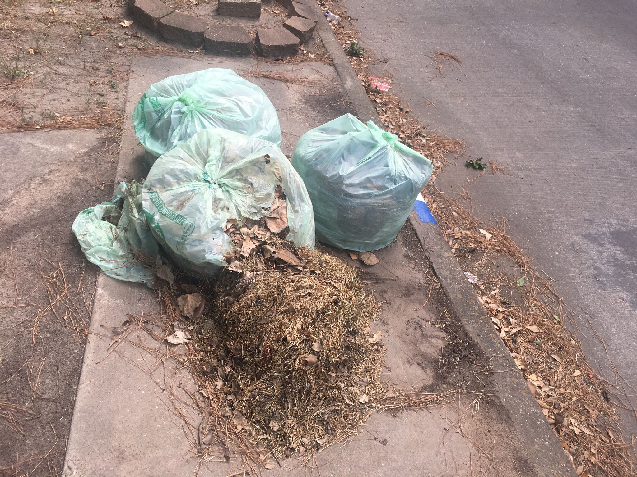 Houstonians haven given up on the city’s yard waste pickup program