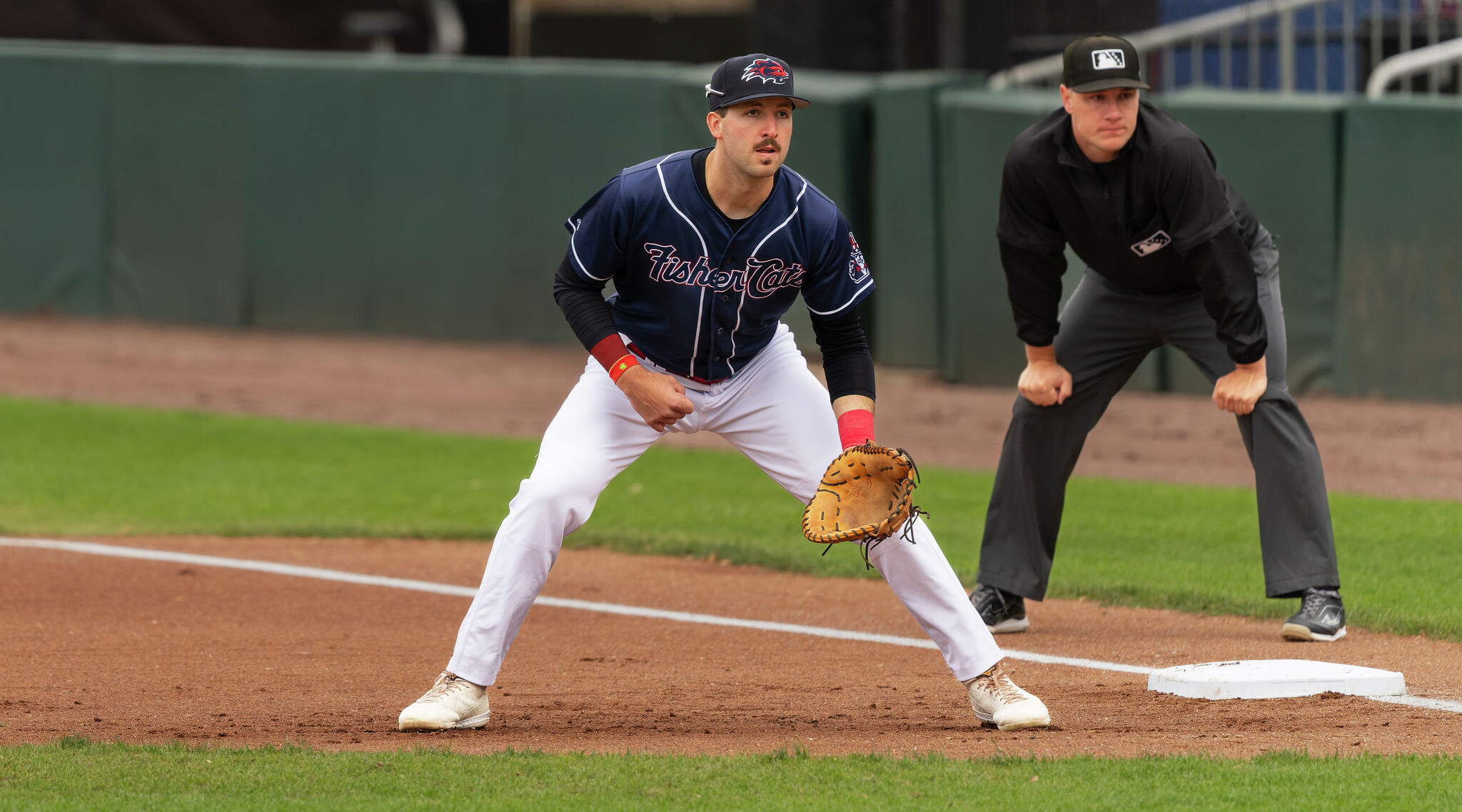 UConn's Pat Winkel revives baseball career with Blue Jays
