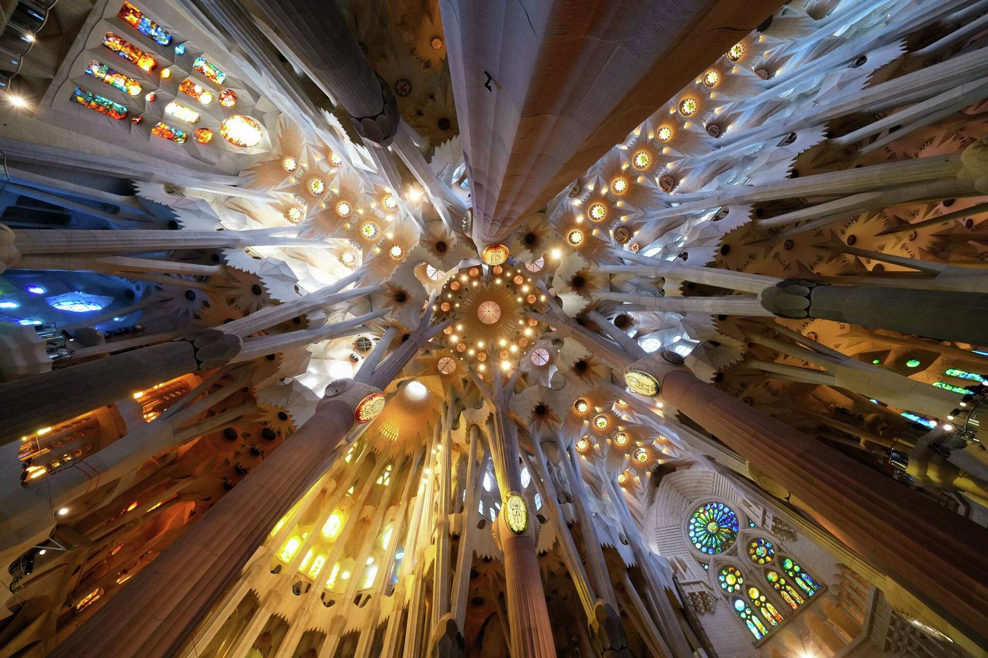 The top photos of the day by AP photojournalists