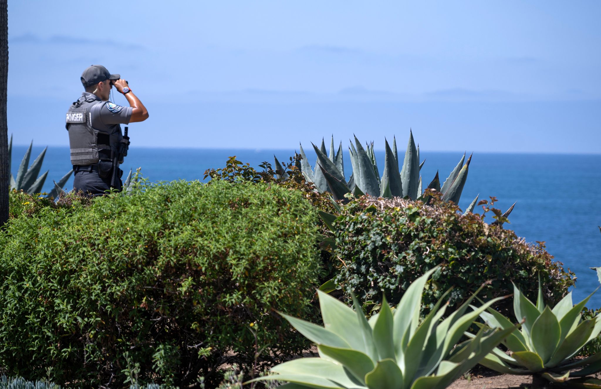 Search expands for a teenage girl swept into the ocean in Southern ...