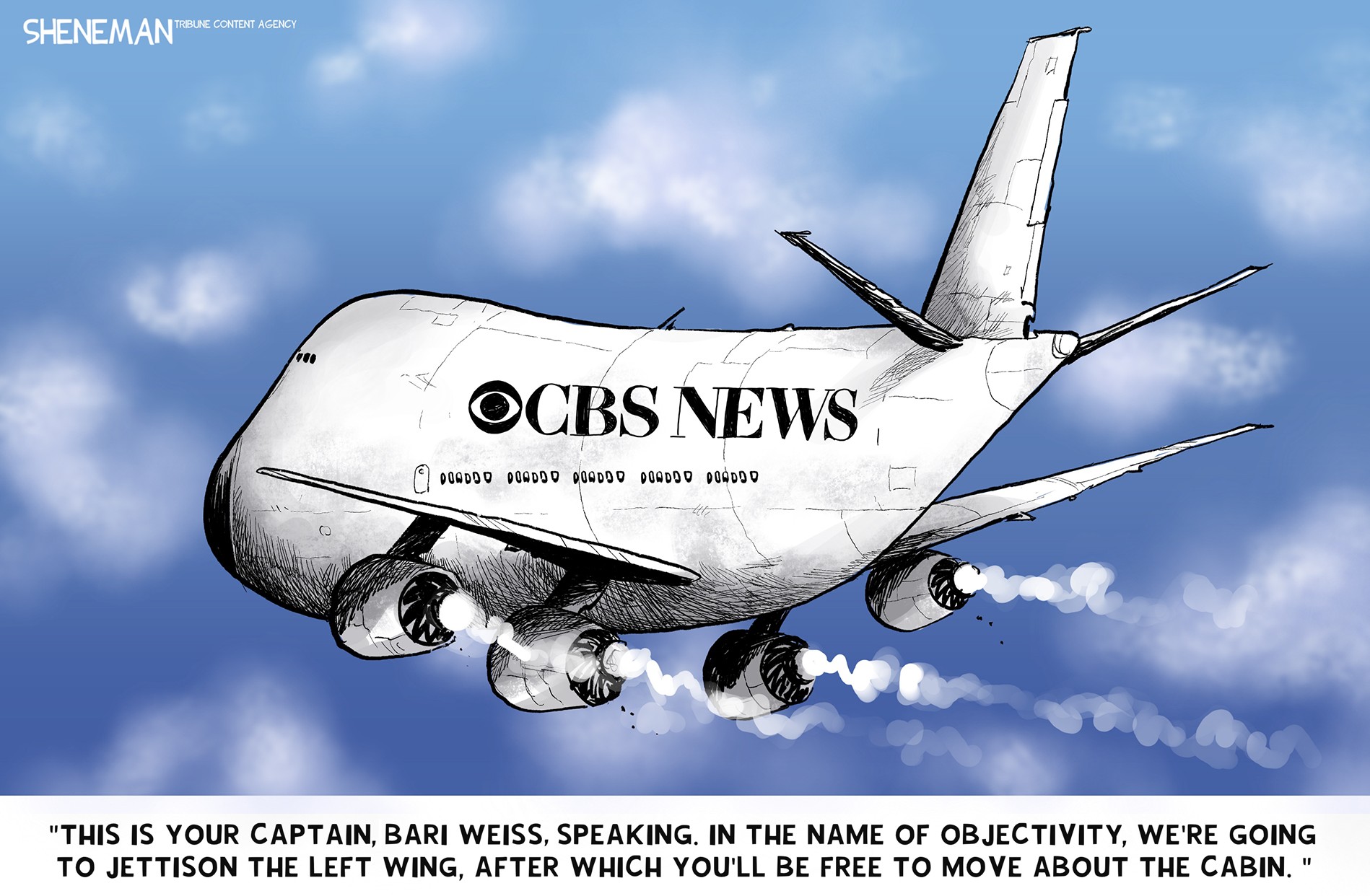 Opinion: Political cartoons of June 7-13, 2026