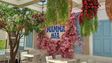 Cava in Southington opens ‘Mamma Mia!’ rooftop garden this weekend