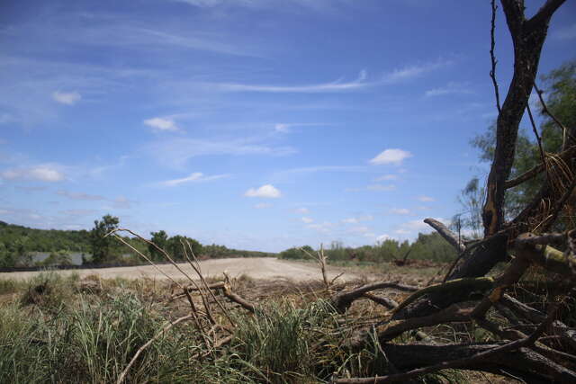Border wall work raises concerns near San Ygnacio bird sanctuary