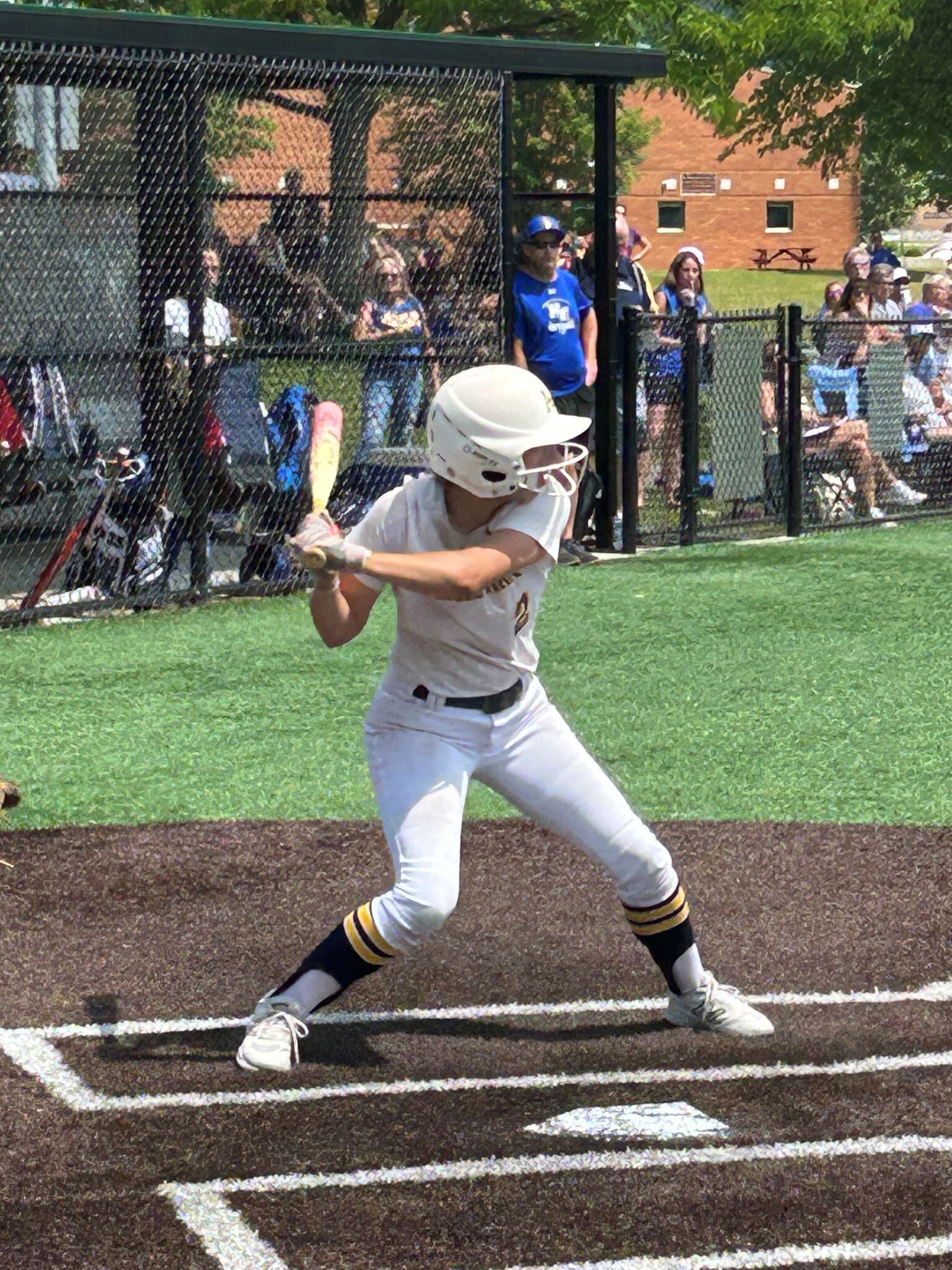 Averill Park softball advances to Class A state final