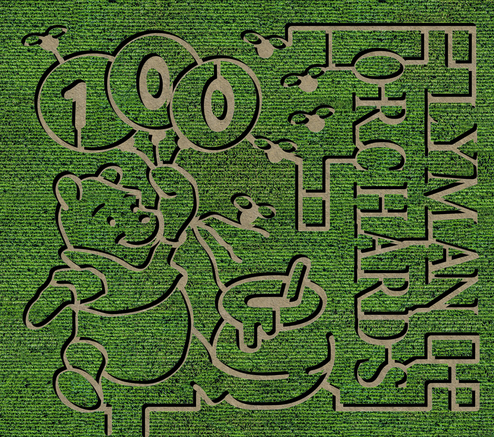 Winnie-the-Pooh sunflower maze to open at Lyman Orchards