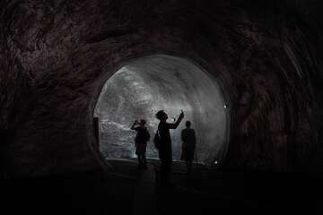 Monumental cave art on Paris' oldest bridge finally opens, as the ...