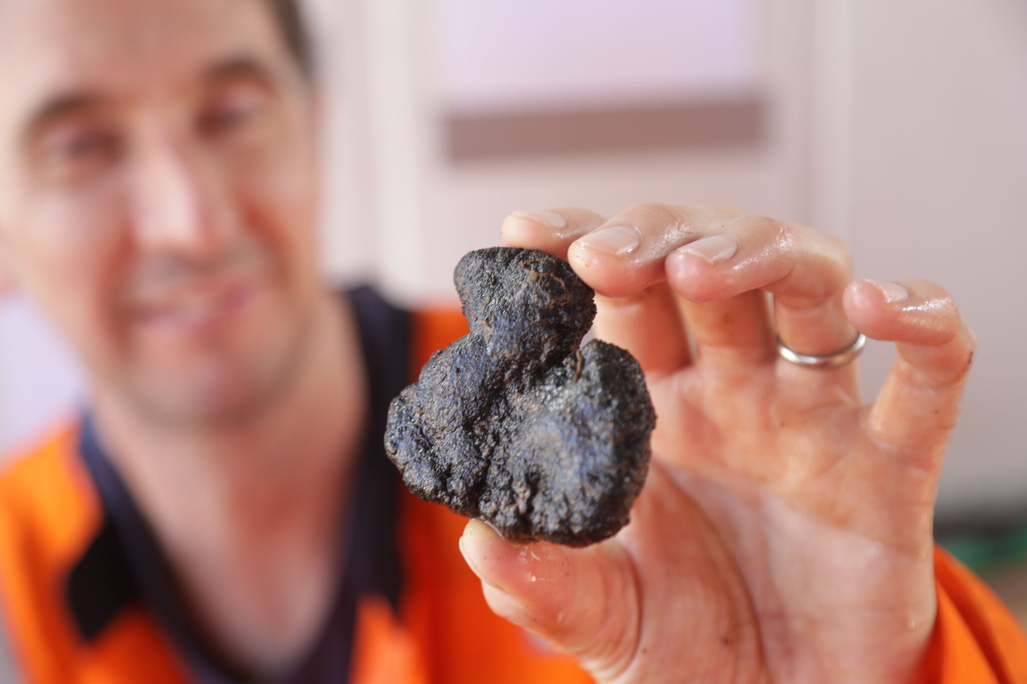 Texas Gulf Coast eyed for first US critical minerals plant