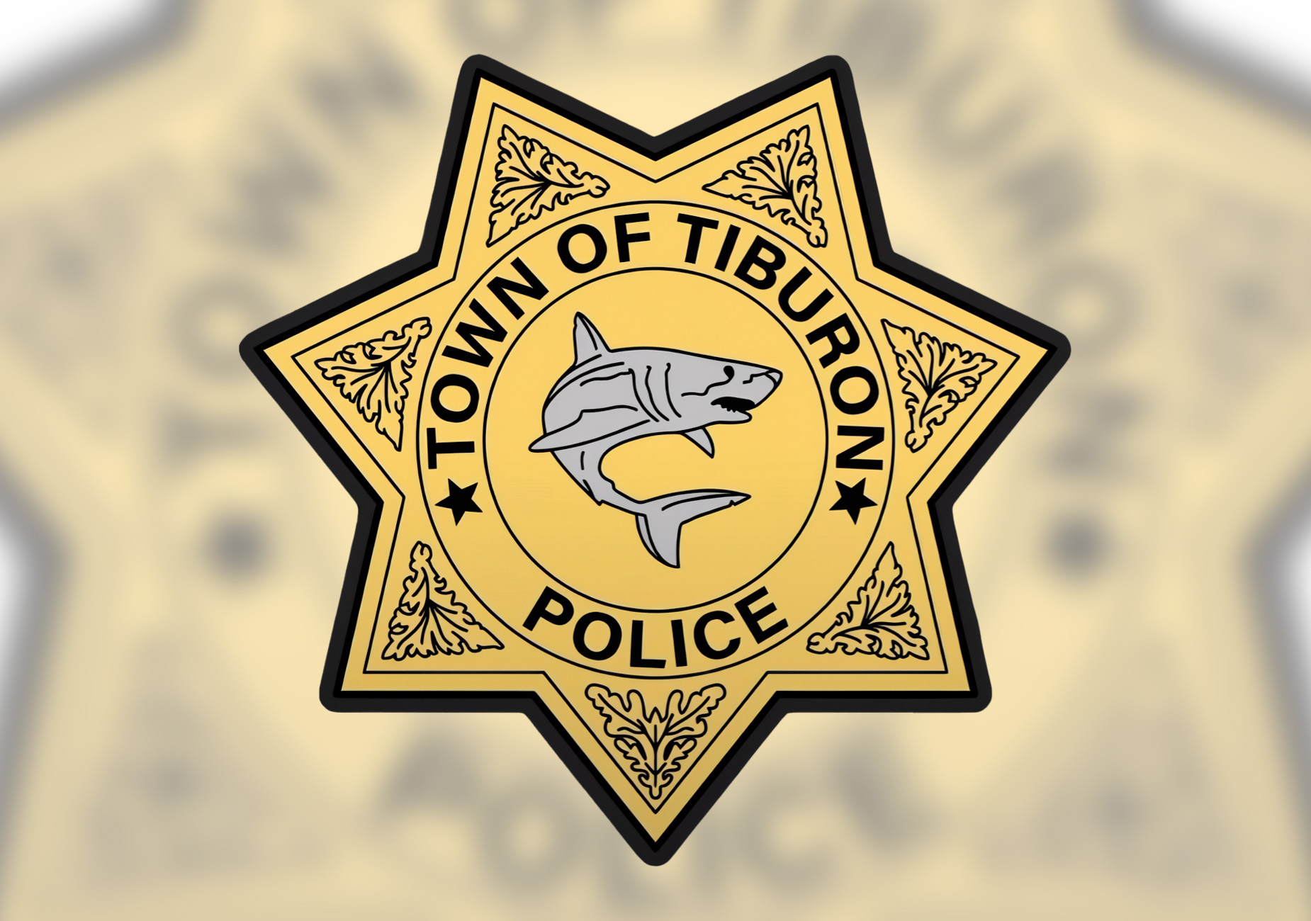 Tiburon: Teen Arrested On Alleged Kidnapping, Robbery After Domestic ...