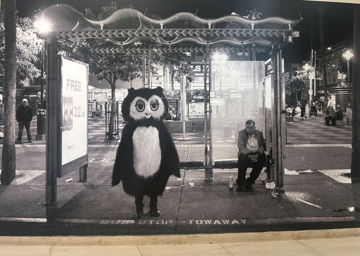 BCNARTS: Sf Public Library Showcases 25 Years Of Hamburger Eyes Street ...