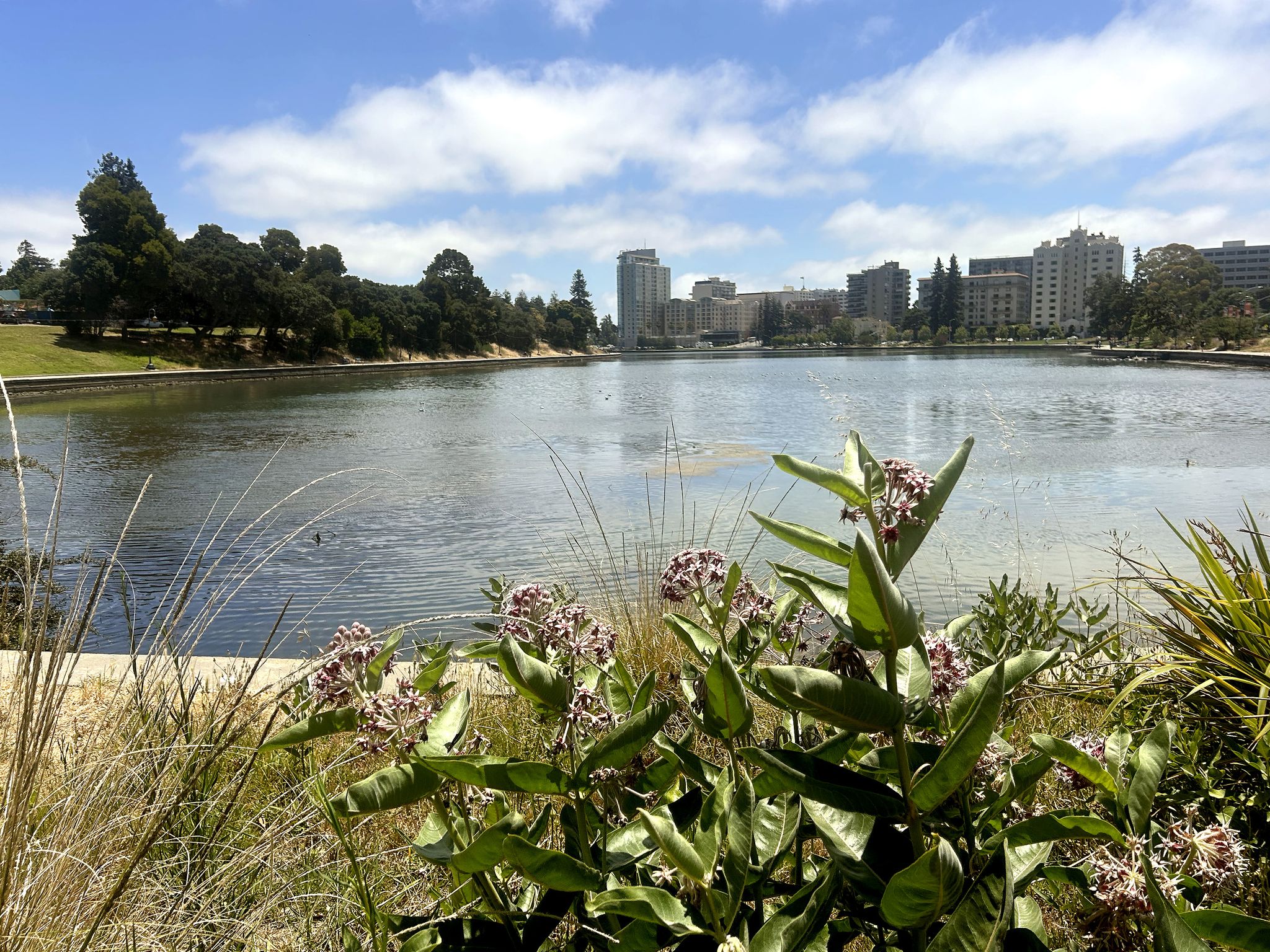 Oakland: Thousands Expected At Lake Merritt Saturday For Lakefest