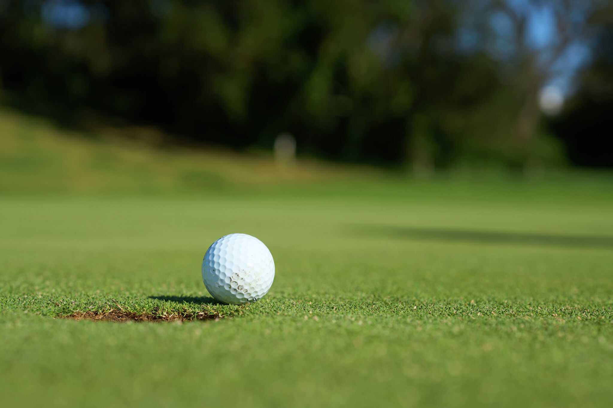 Angels of Action golf outing July 24 Spring Valley
