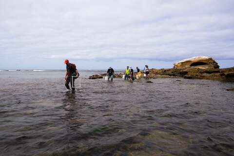 California races to take a ‘snapshot’ of the coast before its too late