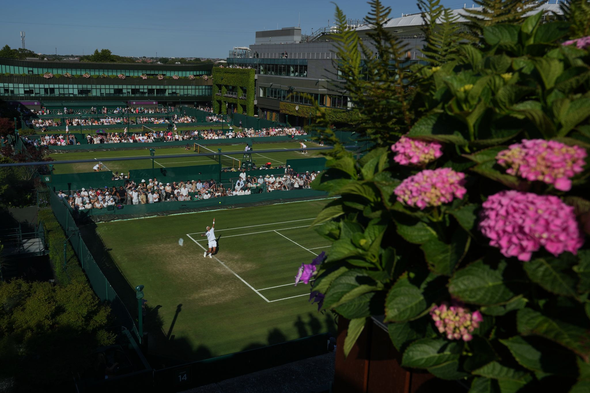 German player disqualified from Wimbledon’s junior tournament for ...