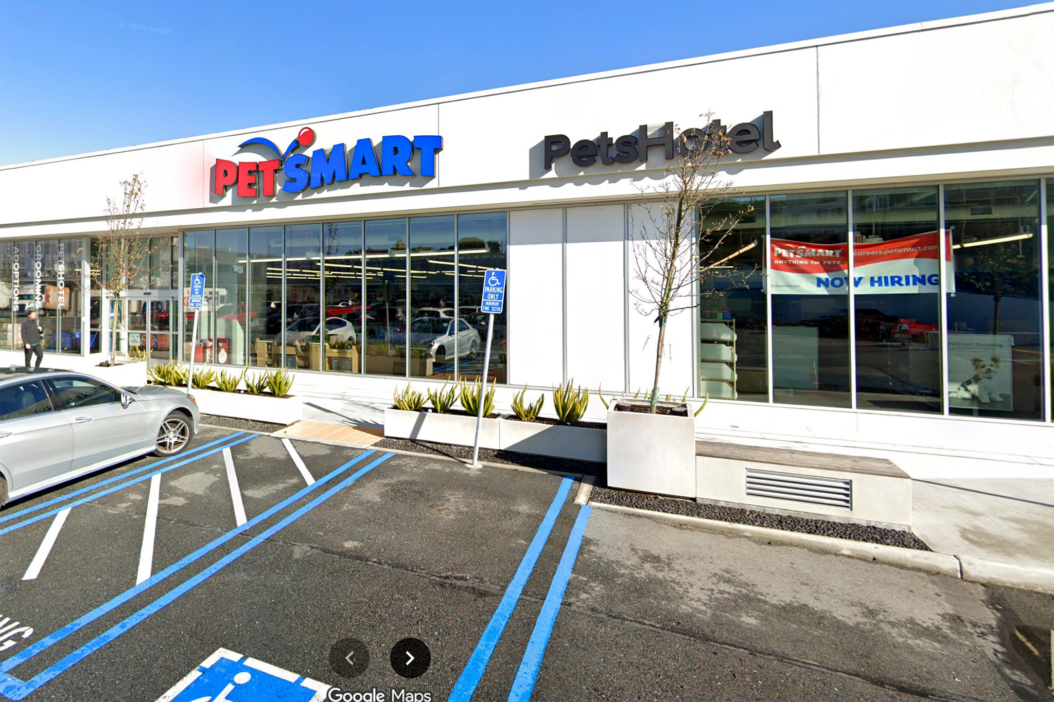 SF's PetSmart, one of the city's largest dog daycares, is closing
