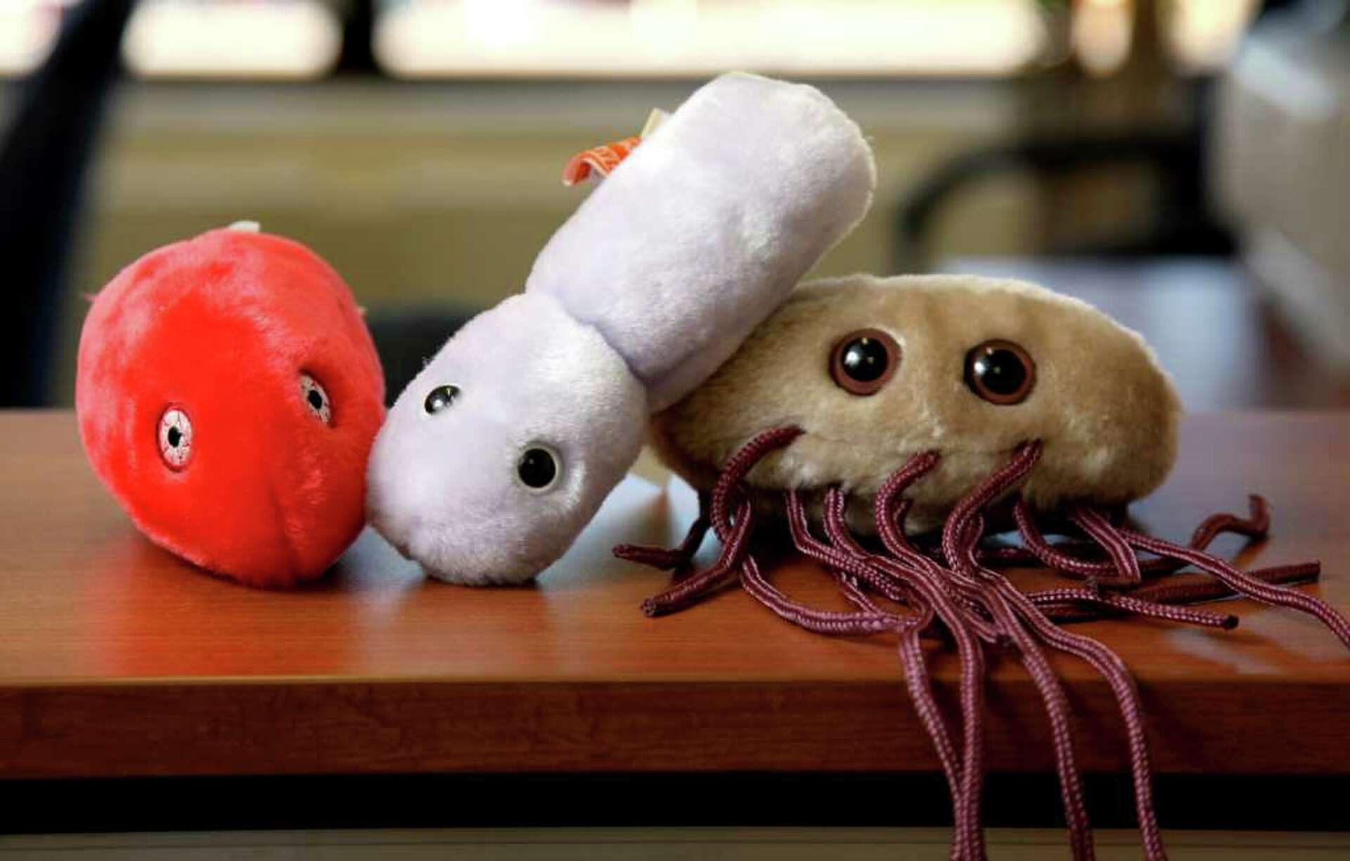 Greenwich native's stuffed germ toys catching on