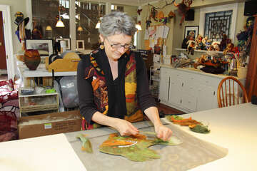 Life @ Home: Sharon Costello and her fiber optics