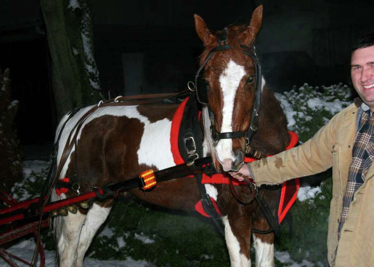 'Dashing through the snow,' horse escapes with sleigh in Cos Cob