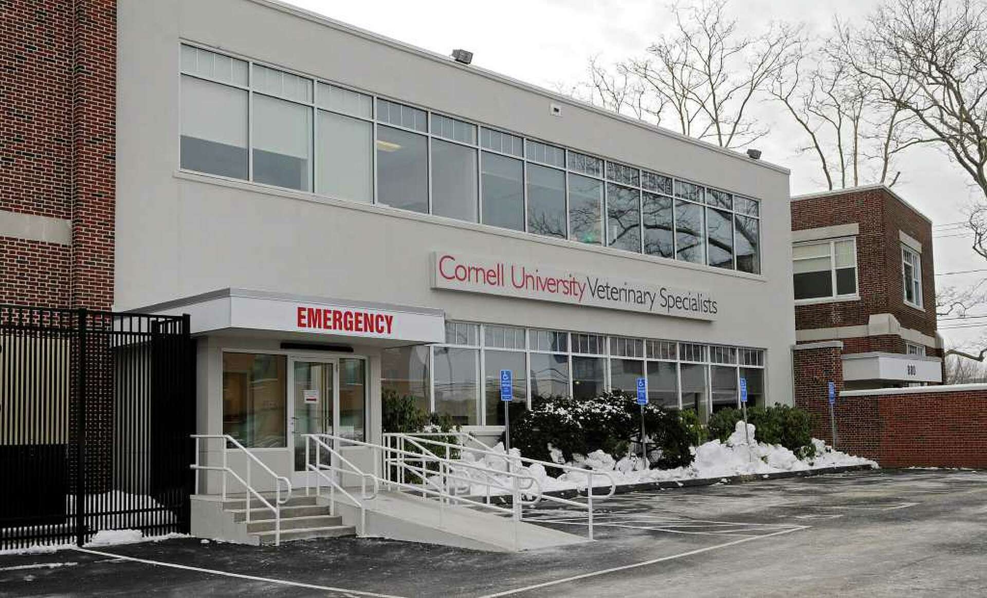 Stamford's first 24-hour veterinary hospital opens in South End