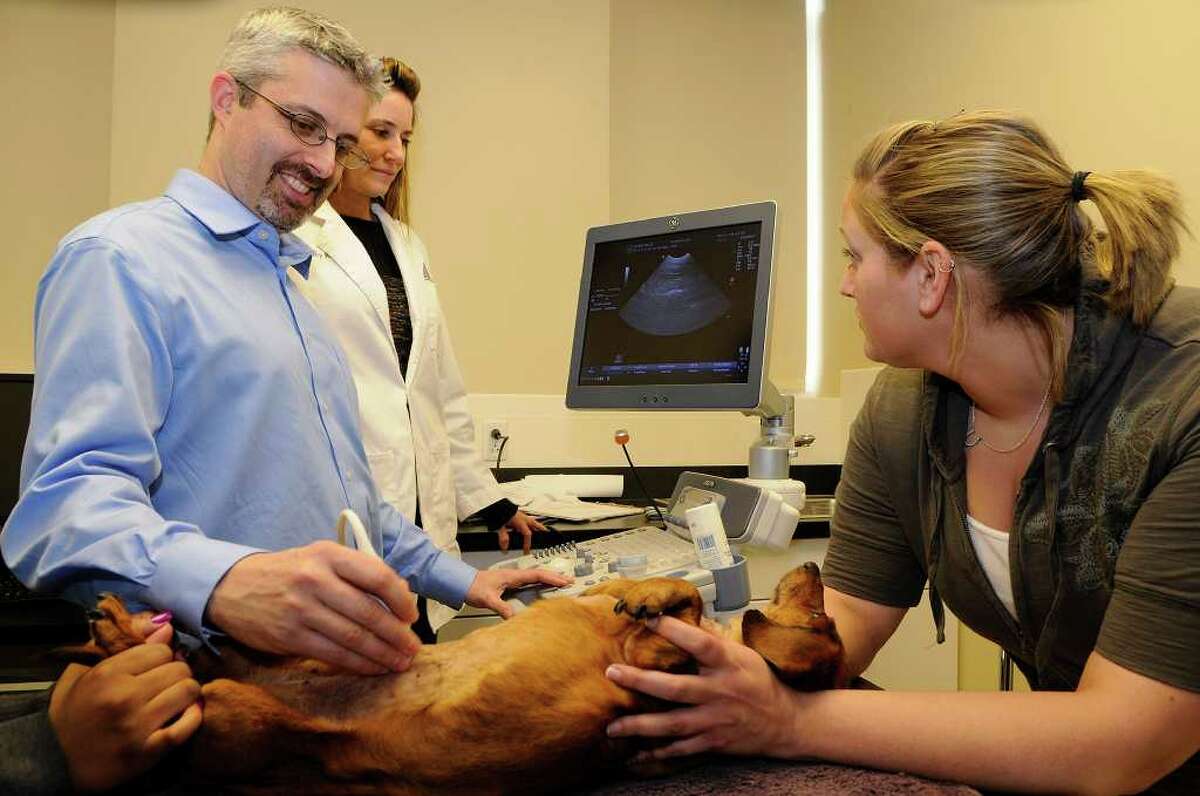 Stamford's first 24-hour veterinary hospital opens in South End